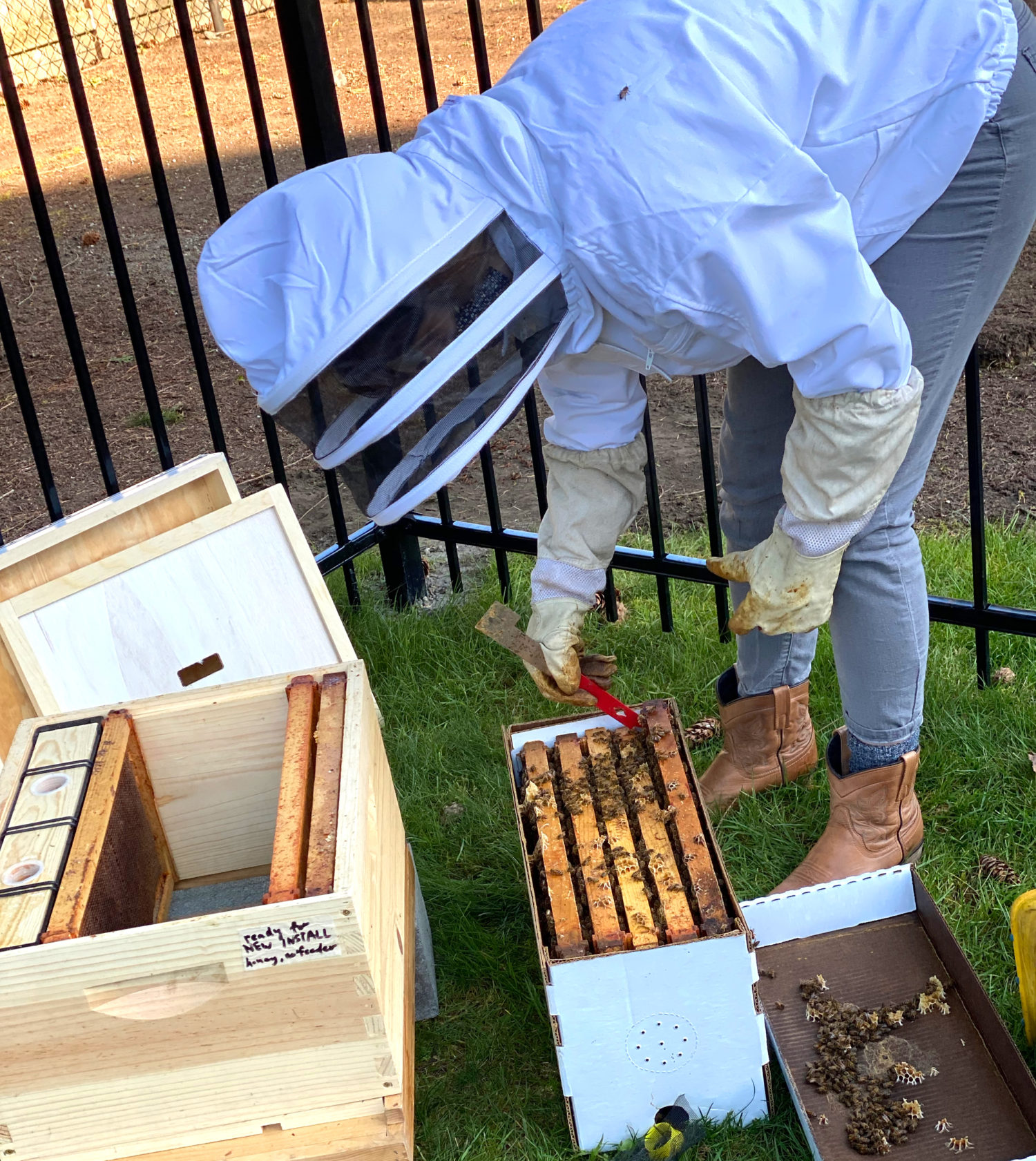 North Coast Pollinator Program | North Coast Living